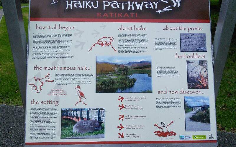 Haiku Reserve | Freedom/Basic Camp | New Zealand